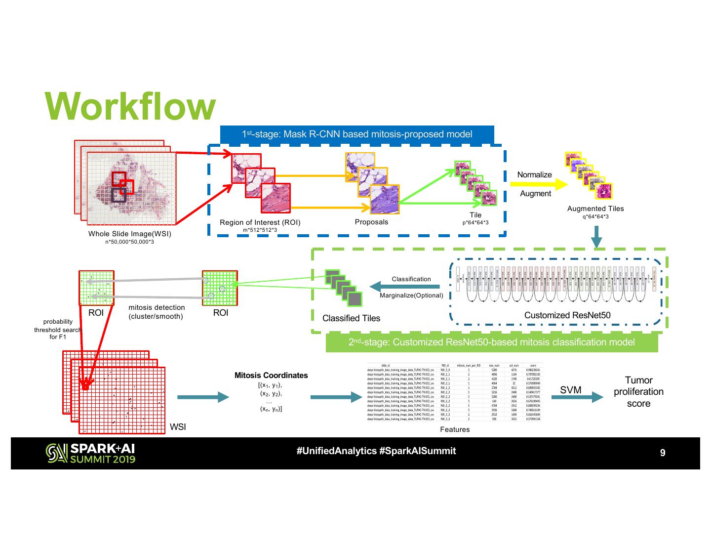 A Distributed Deep Learning Approach For The Mitosis Detection From Big Medical