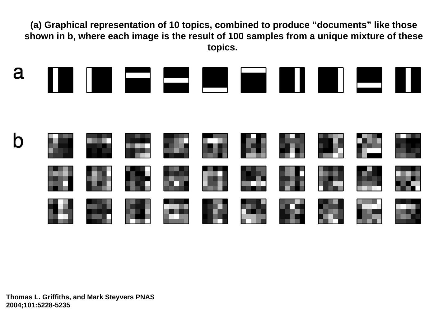 Latent Dirichlet Allocation (LDA)