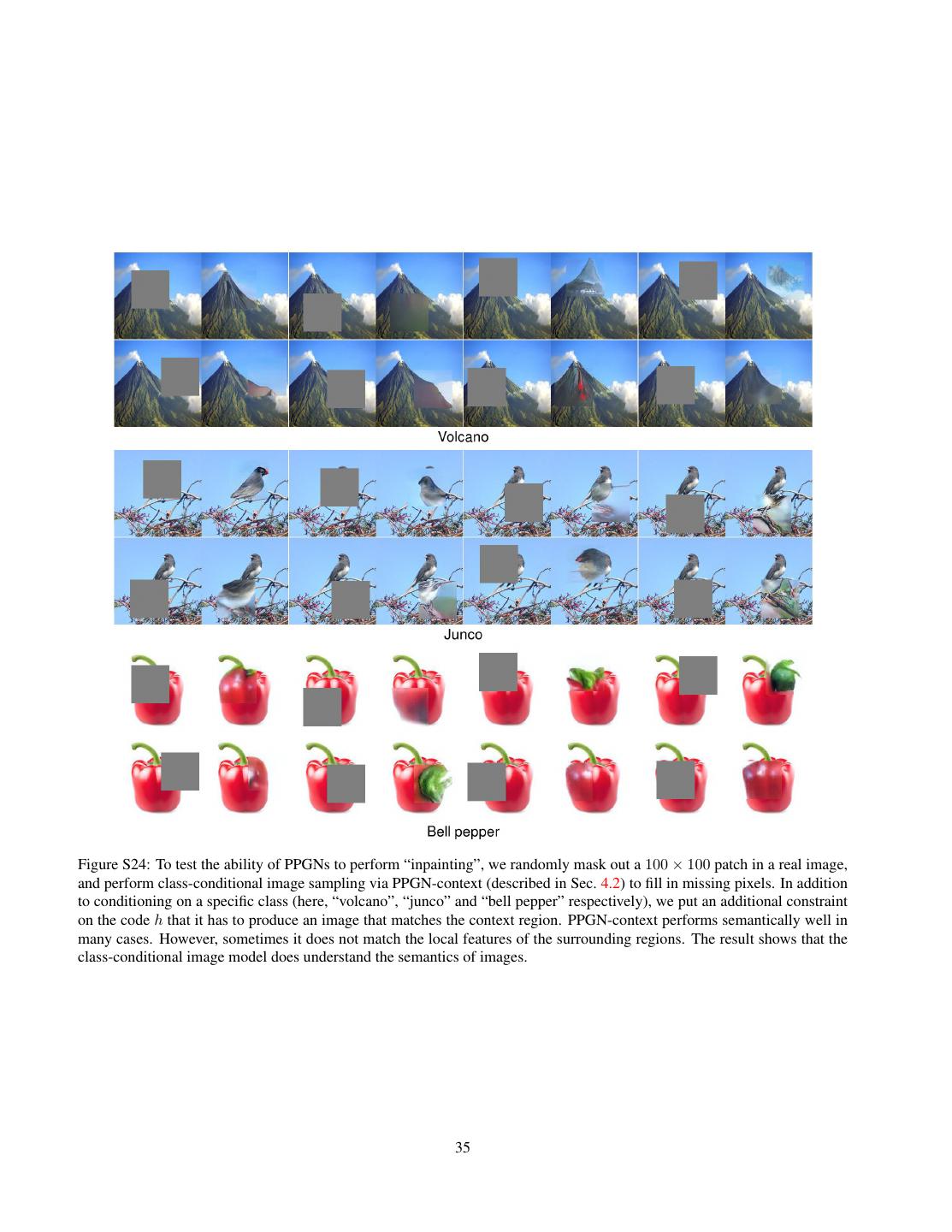 Plug And Play Generative Networks