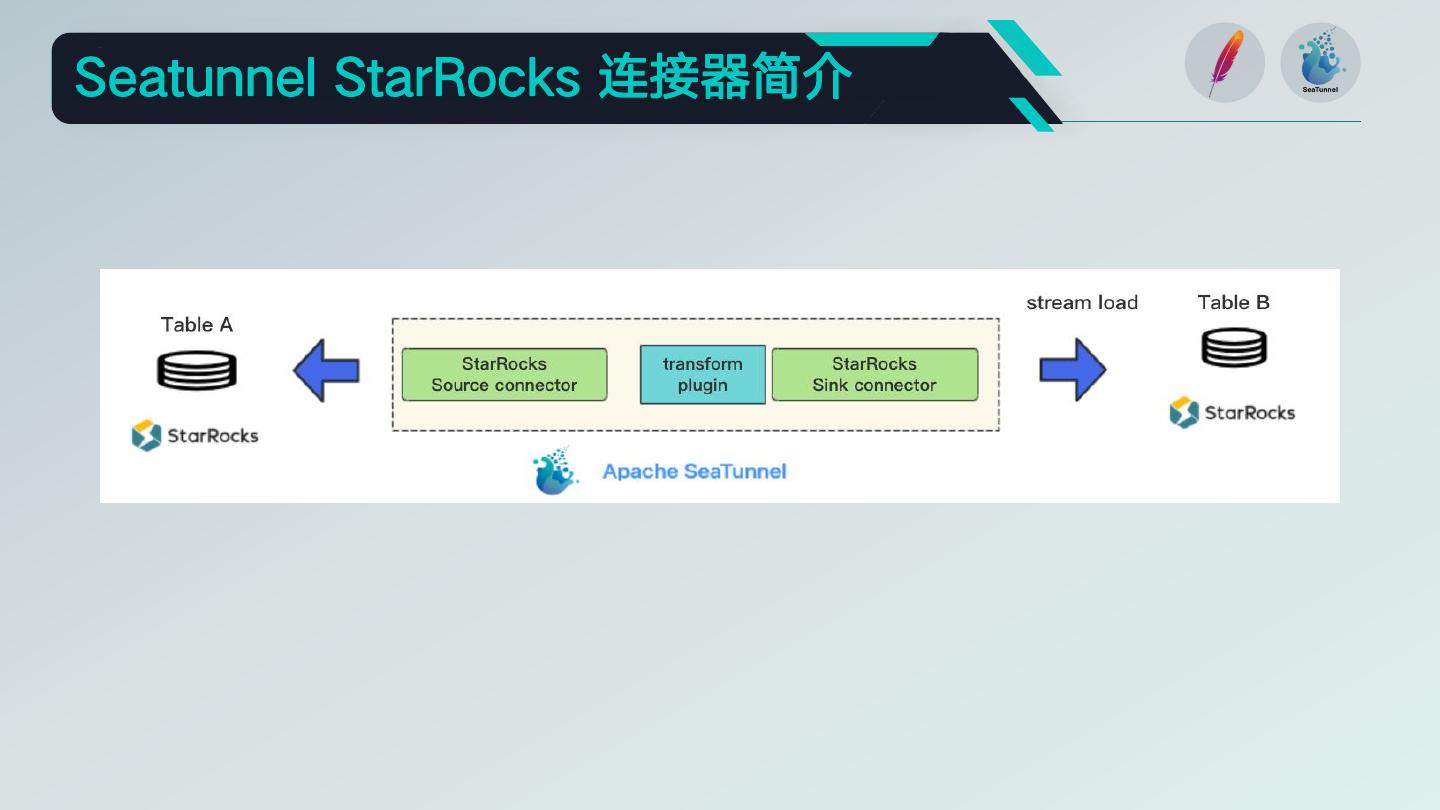 SeaTunnel StarRocks 连接器介绍