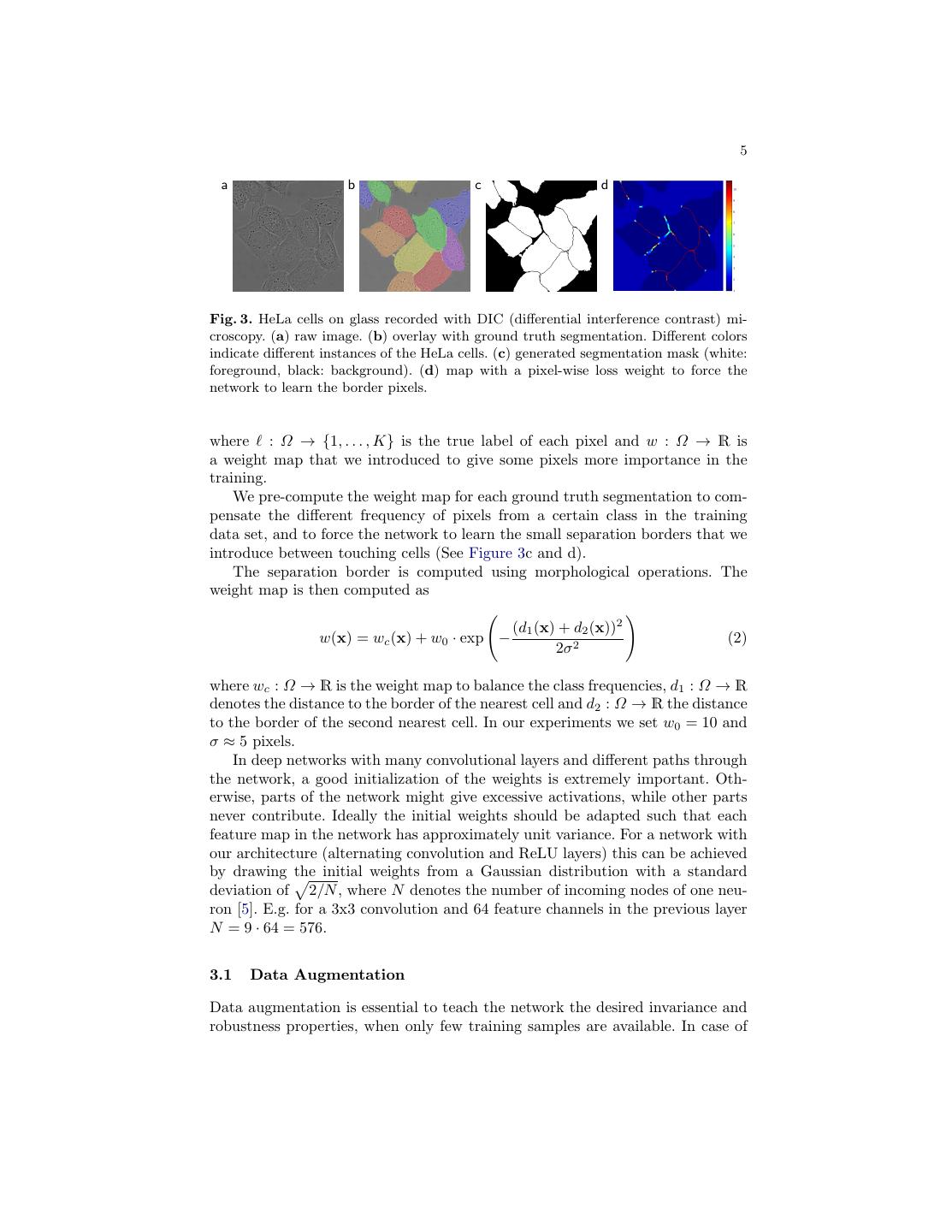 U Net Convolutional Networks For Biomedicalimage Segmentation 4848