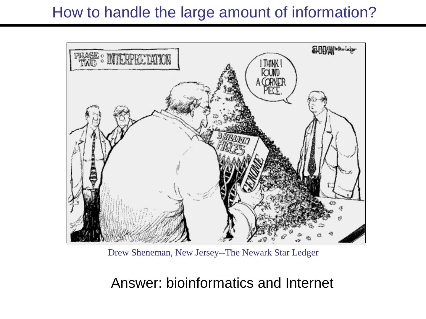 Bioinformatics Lecture 1