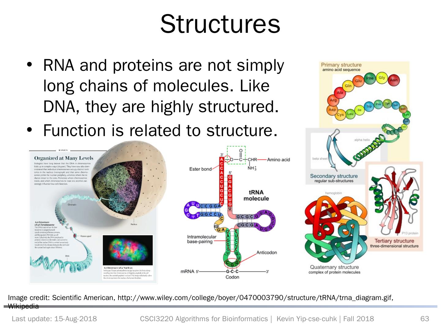 Csci3220 Algorithms For Bioinformatics Cuhk Cse
