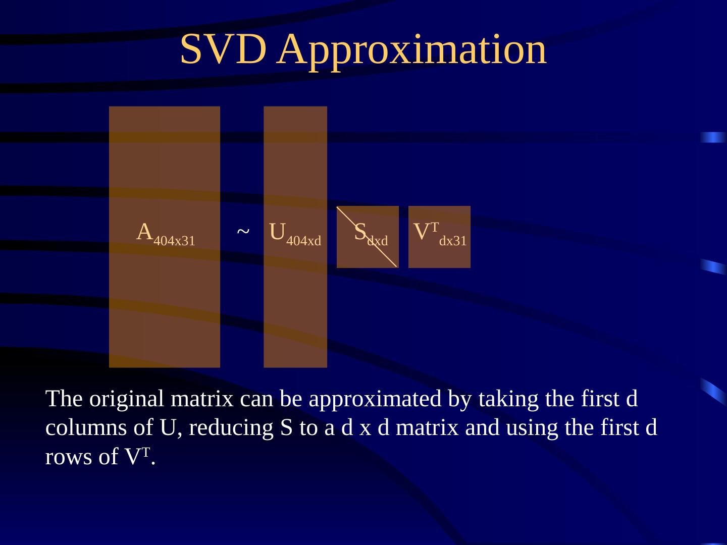 Singular Value Decomposition
